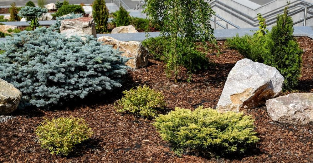 5 Ways Decorative Rocks Can Enhance The Look of Your Home | Allwood ...