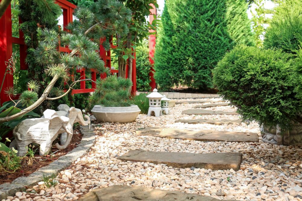 The Ultimate Guide to Choosing the Perfect Decorative Rocks for Your ...